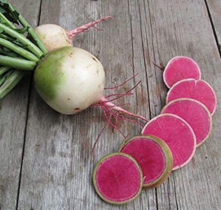 Turnip (peeled/cut) – Quintals