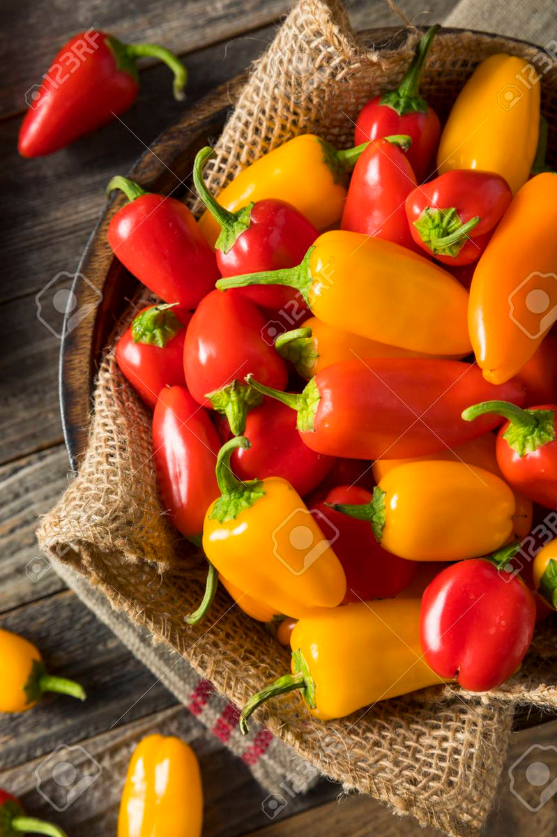 Peppers - Mini Sweet Bell package – Quintals